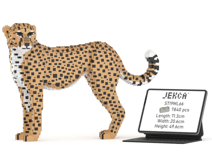 African Grey Toy Building Blocks l Different Than LEGOs – Build 'Em Pets