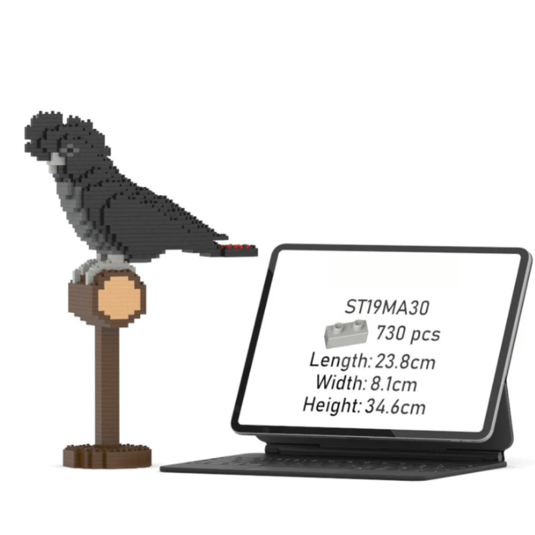 African Grey Toy Building Blocks l Different Than LEGOs – Build 'Em Pets