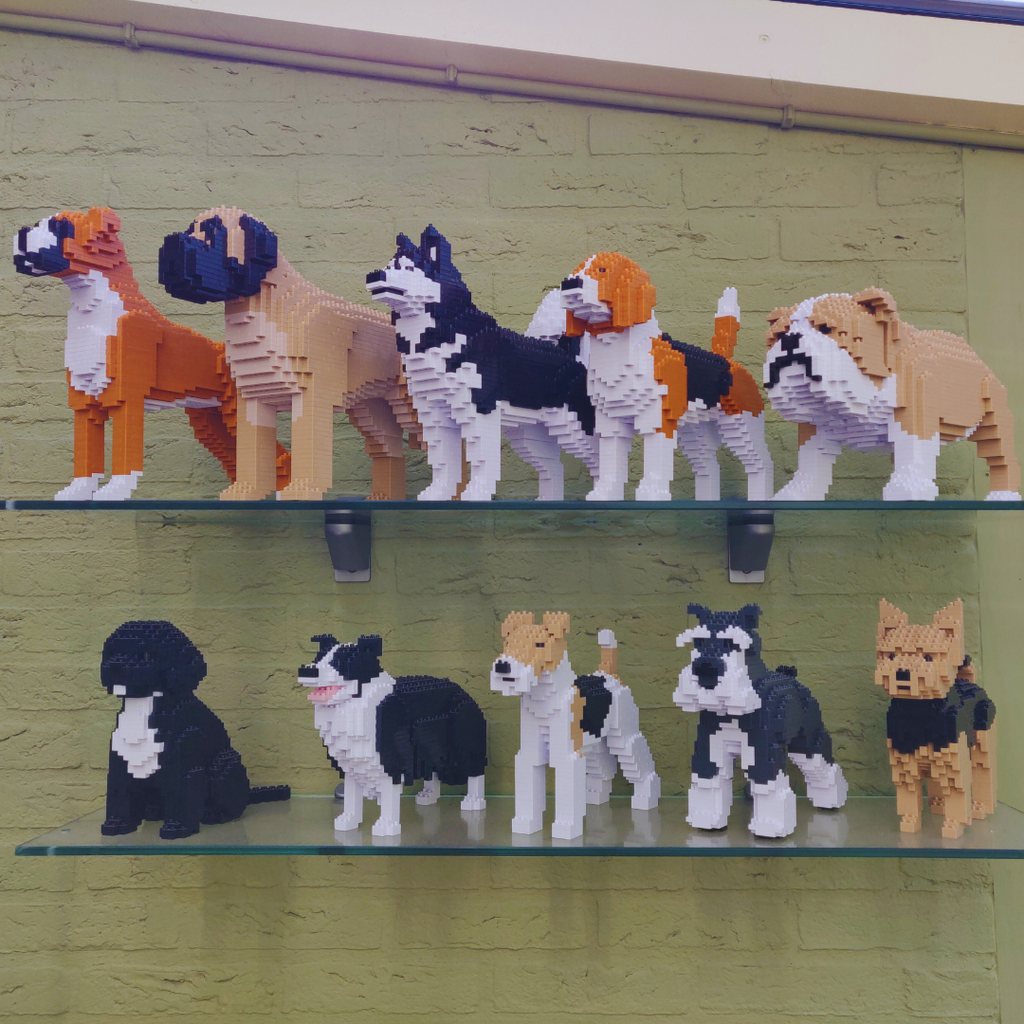 Chihuahua - Pet Building Kit - Build 'Em Pets